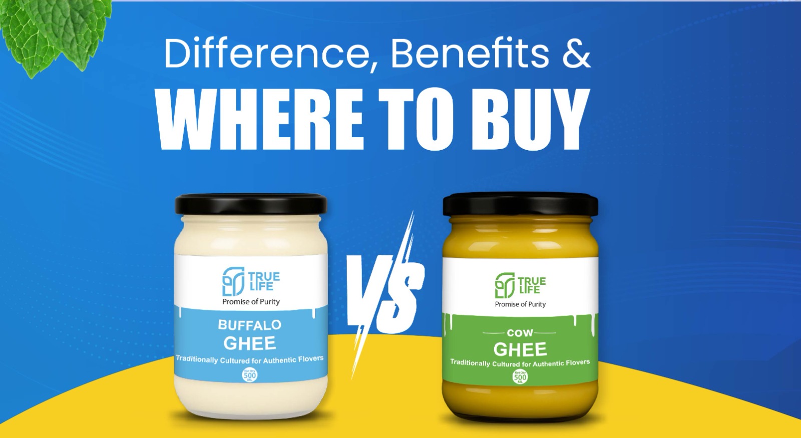 Cow Ghee vs Buffalo Ghee: Difference, Benefits & Where to Buy